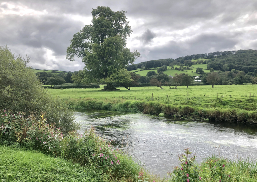 River Teifi - Pontarddulais and District Angling Association